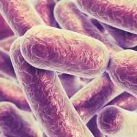 Veelvoorkomende aandoeningen darmen - Darmklachten.nl