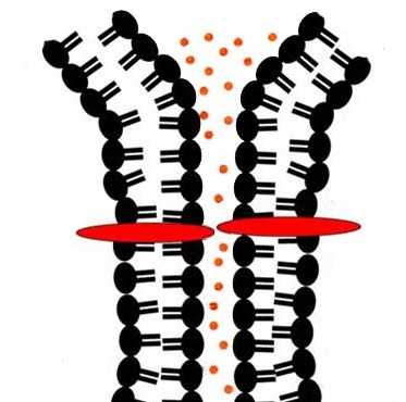 Ontlastingsonderzoek - Darmklachten.nl